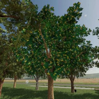 Orchards Fruits v1.0 FS22 Mod | Farming Simulator 22 Mod