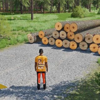 TAJFUN 80T v1.0 FS22 Mod | Farming Simulator 22 Mod