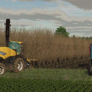 Taller woodchip poplars v1.0 FS22 Mod | Farming Simulator 22 Mod