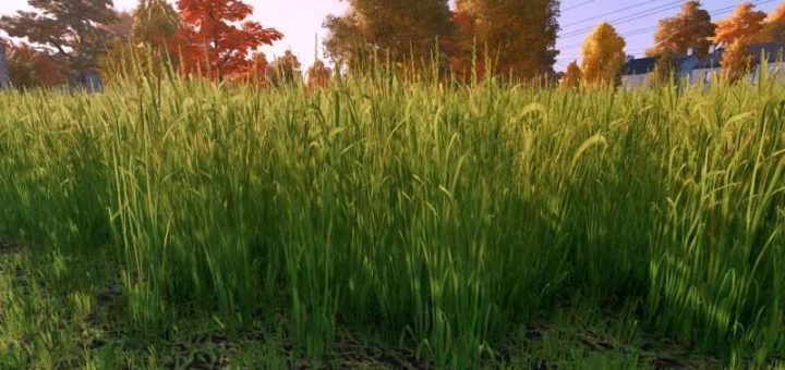 FS22 Textures Mods | Farming Simulator 22 Textures Mods