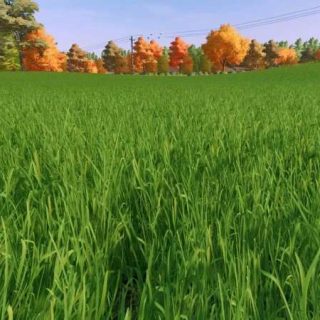 Grass Texture v1.0 FS22 Mod | Farming Simulator 22 Mod