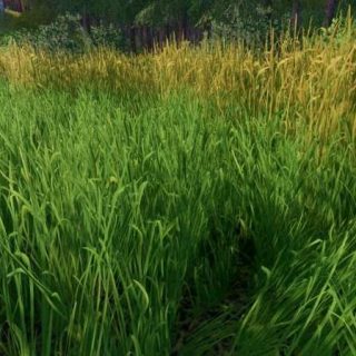 Grass Texture v1.0 FS22 Mod | Farming Simulator 22 Mod
