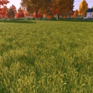 Grass Texture v1.0 FS22 Mod | Farming Simulator 22 Mod