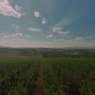 QAP MAP BETA v0.5 FS22 Mod | Farming Simulator 22 Mod