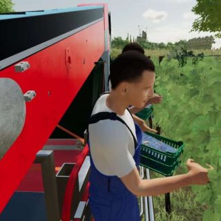 Grape harvesting brigade v1.0 FS22 Mod | Farming Simulator 22 Mod