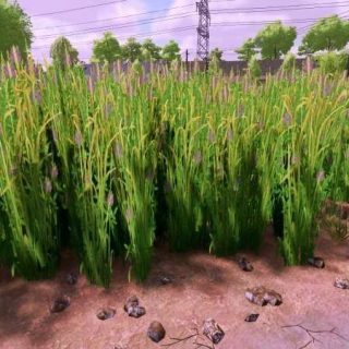 Grass texture with alfalfa v1.0 FS22 Mod | Farming Simulator 22 Mod