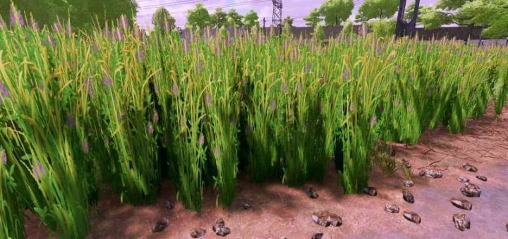 FS22 Textures Mods | Farming Simulator 22 Textures Mods