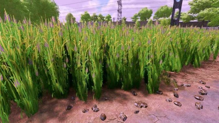 Grass texture with alfalfa v1.0 FS22 Mod | Farming Simulator 22 Mod