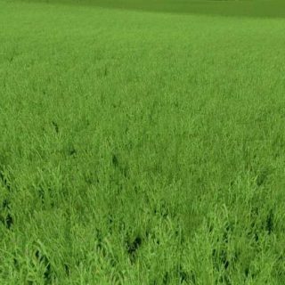 Grass texture with alfalfa v1.0 FS22 Mod | Farming Simulator 22 Mod