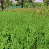 Grass texture with alfalfa v1.0 FS22 Mod | Farming Simulator 22 Mod