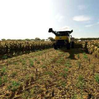 Sorghum and sunflowers foliage v1.0 FS22 Mod | Farming Simulator 22 Mod