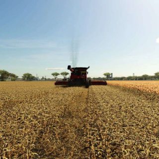 Sorghum and sunflowers foliage v1.0 FS22 Mod | Farming Simulator 22 Mod