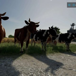 Placeable cow Fs22 v1.0 FS22 Mod | Farming Simulator 22 Mod