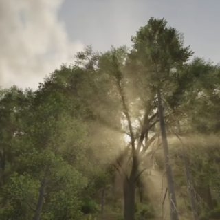 Effects & Weather in Farming Simulator 25