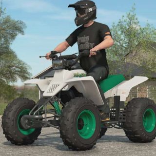 Lizard Blaster 200 1999 v1.0 FS22 Mod | Farming Simulator 22 Mod
