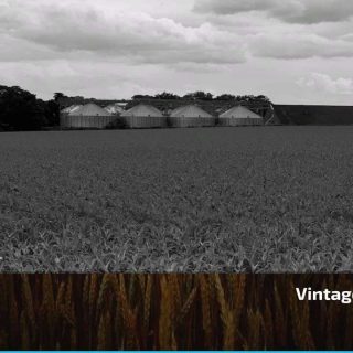 Vintage Oaks Autodrive v1.0 FS22 Mod | Farming Simulator 22 Mod