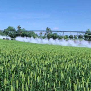 Fockink Irrigation Pivot v1.0 FS22 Mod | Farming Simulator 22 Mod