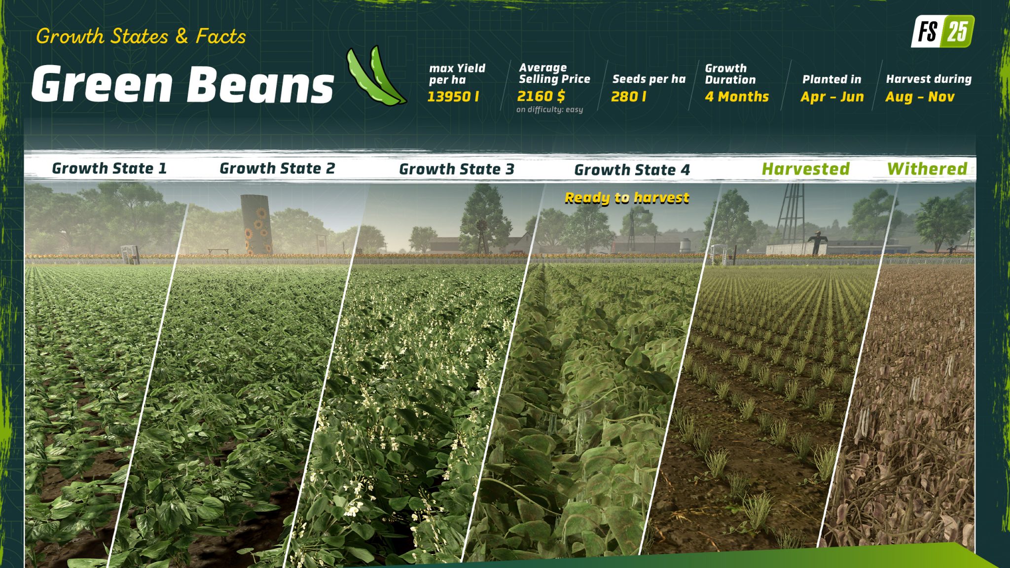 Green Beans is a new crop in Farming Simulator 25