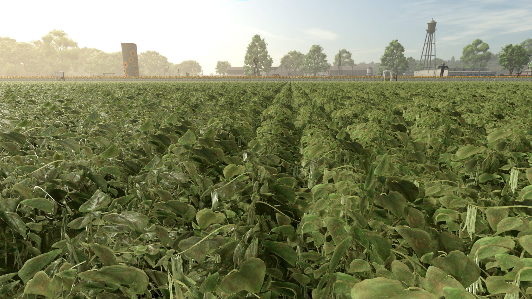 Green Beans is a new crop in Farming Simulator 25