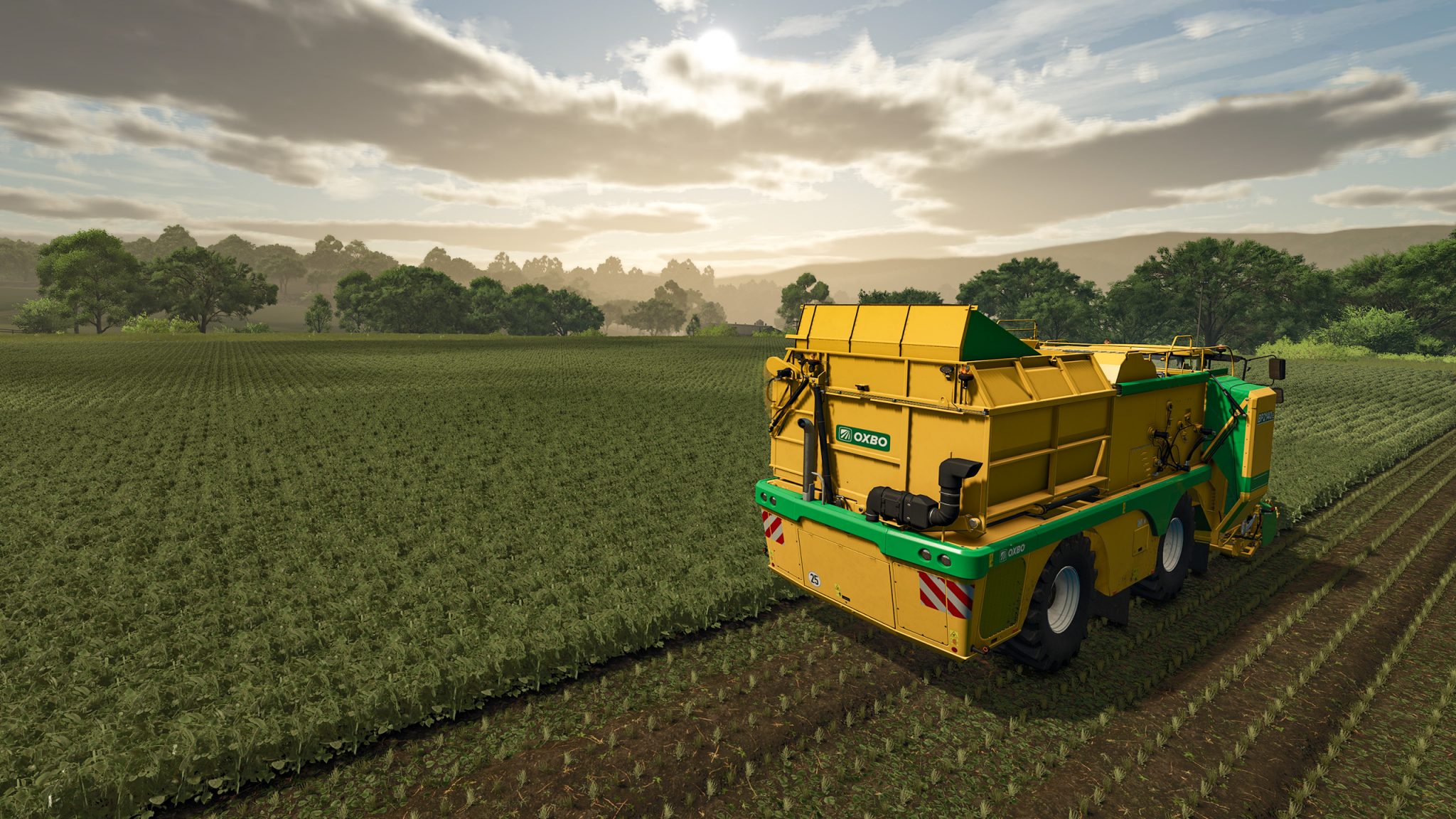 Green Beans is a new crop in Farming Simulator 25