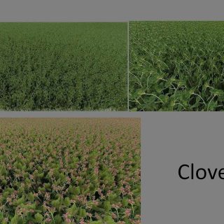 Clover and Alfalfa Texture v1.0.0.1 FS22 Mod | Farming Simulator 22 Mod
