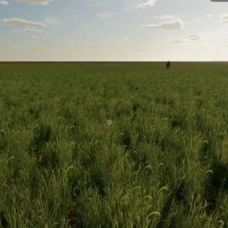 Empty map 8x v1.0 FS22 Mod | Farming Simulator 22 Mod