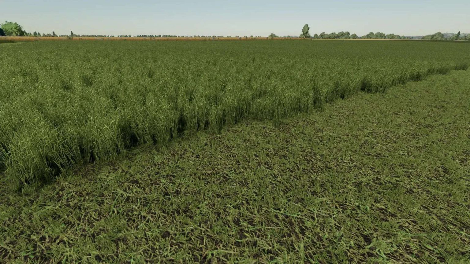 Grass Texture v1.0.0.1 FS22 Mod | Farming Simulator 22 Mod