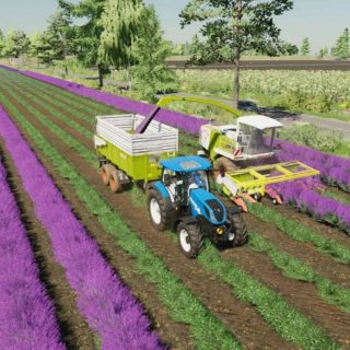 Lavender in Rows (Prefab) v1.0.0.1 FS22 Mod | Farming Simulator 22 Mod