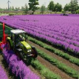 Lavender in Rows (Prefab) v1.0.0.1 FS22 Mod | Farming Simulator 22 Mod
