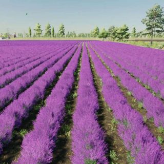 Lavender in Rows (Prefab) v1.0.0.1 FS22 Mod | Farming Simulator 22 Mod
