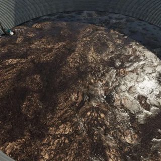 Manure and dung texture v1.0 FS22 Mod | Farming Simulator 22 Mod