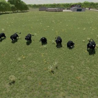 Placeable Bulls v1.0 FS22 Mod | Farming Simulator 22 Mod
