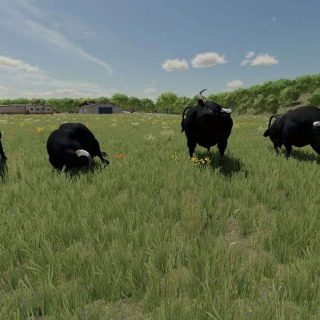 Placeable Bulls v1.0 FS22 Mod | Farming Simulator 22 Mod