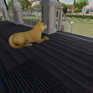 Shiba Inu Doge Coin dog v1.0 FS22 Mod | Farming Simulator 22 Mod
