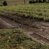 Soil texture v1.0 FS22 Mod | Farming Simulator 22 Mod