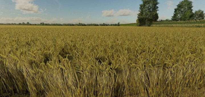 Wheat Texture Mods | Farming Simulator 22 Mods
