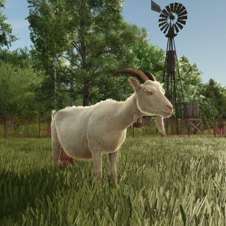 Farming Simulator 25: Goats Are Coming | Farming Simulator 25 Mods