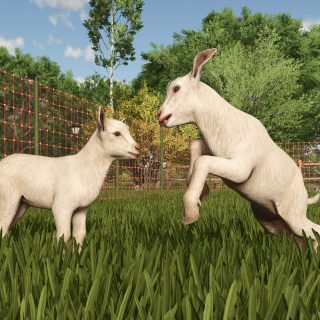 Farming Simulator 25: Goats Are Coming | Farming Simulator 25 Mods