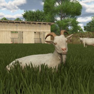 Farming Simulator 25: Goats Are Coming | Farming Simulator 25 Mods