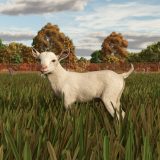 Farming Simulator 25: Goats Are Coming | Farming Simulator 25 Mods