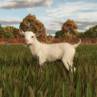 Farming Simulator 25: Goats Are Coming | Farming Simulator 25 Mods