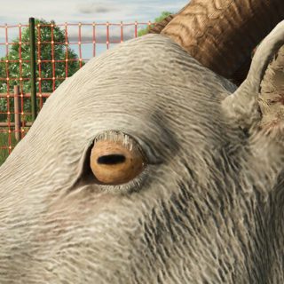 Farming Simulator 25: Goats Are Coming | Farming Simulator 25 Mods