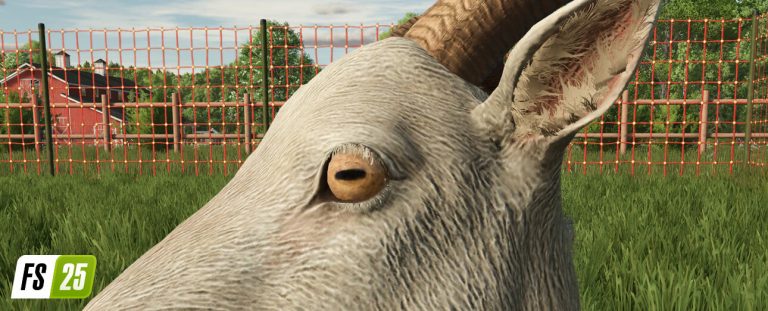 Farming Simulator 25: Goats Are Coming | Farming Simulator 25 Mods