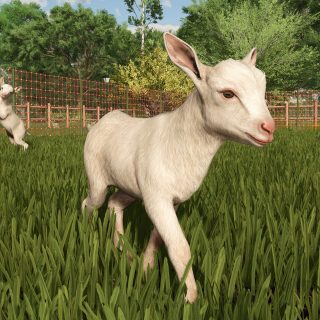 Farming Simulator 25: Goats Are Coming | Farming Simulator 25 Mods