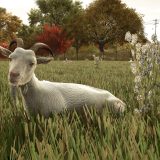 Farming Simulator 25: Goats Are Coming | Farming Simulator 25 Mods