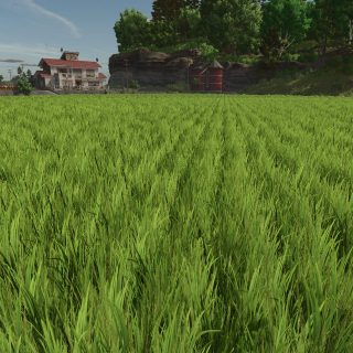Harvesting, Planting & Sowing Rice in Farming Simulator 25