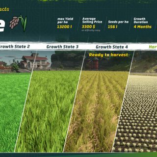 Harvesting, Planting & Sowing Rice in Farming Simulator 25