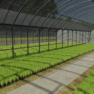 Harvesting, Planting & Sowing Rice in Farming Simulator 25