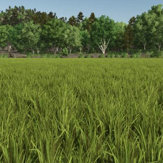 Harvesting, Planting & Sowing Rice in Farming Simulator 25