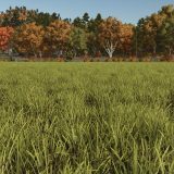 Harvesting, Planting & Sowing Rice in Farming Simulator 25